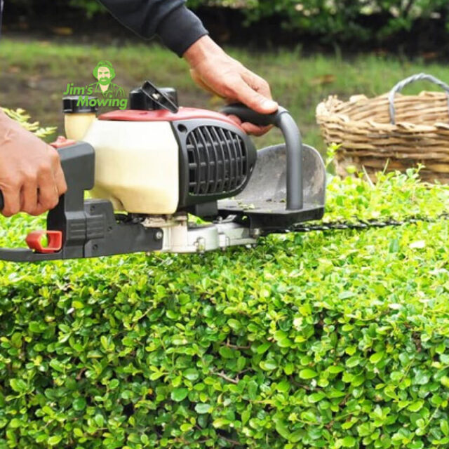 Hedge Trimming – Franklin Landscaping Hedge Trimming – Franklin Landscaping